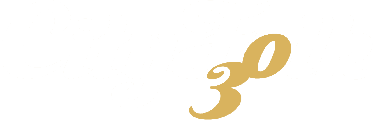 TOERSA Security Ottawa - TOERSA Security Inc.