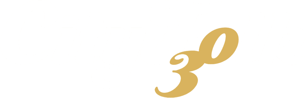 TOERSA Security Ottawa - TOERSA Security Inc.